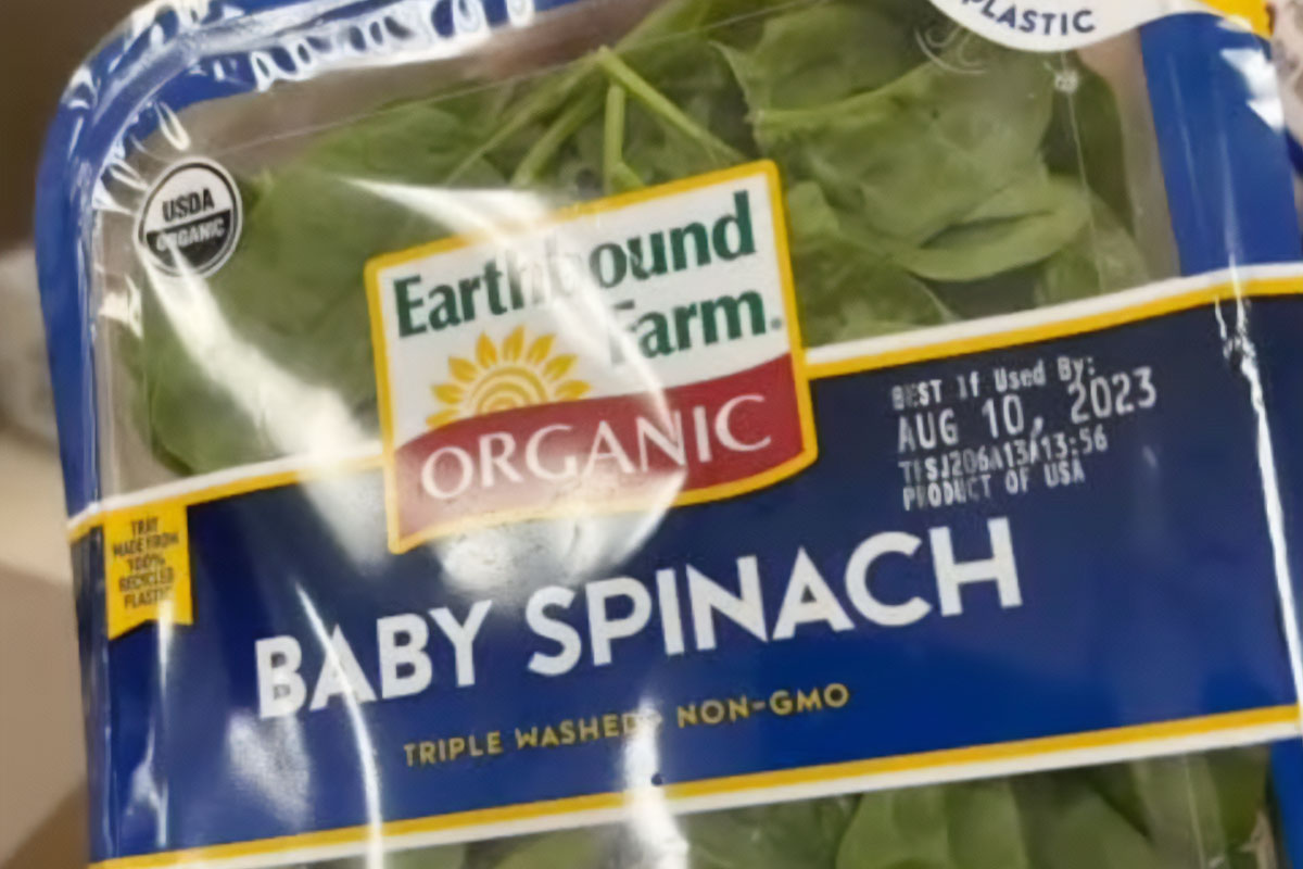 Michigan Family Is Baffled After Discovering Live Frog Inside A Sealed ...