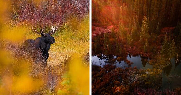 Here Are Some Of My Favorite Fall Photos I’ve Made (15 Pics)