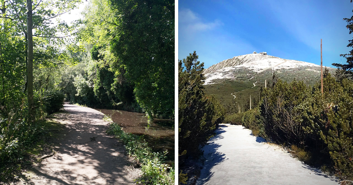 Hey Pandas, Show Us A Cool Pic Of A Path That You Took | Bored Panda