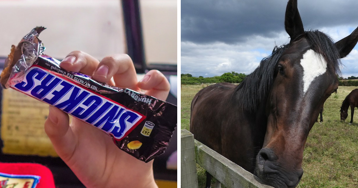 People Are Pleasantly Surprised After Learning The Story Behind ...