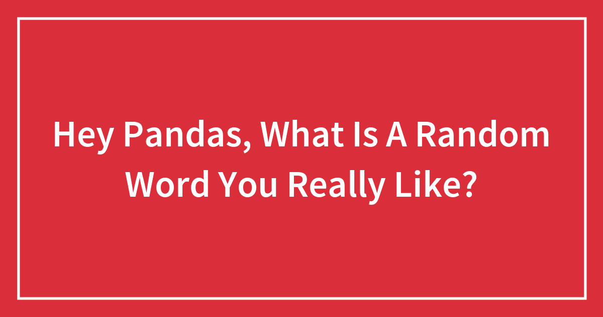 Hey Pandas, What Is A Random Word You Really Like? (Closed) | Bored Panda