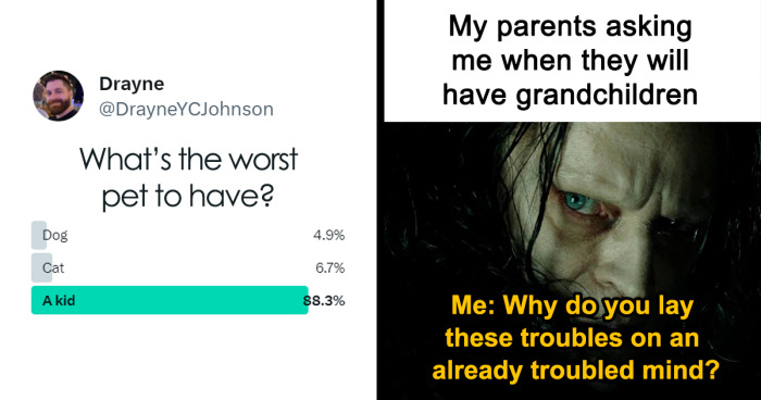 40 Hilarious Memes That Perfectly Sum Up What Being Childfree Is Like