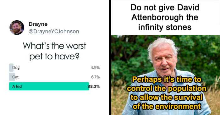 40 Hilarious Memes That Perfectly Sum Up What Being Childfree Is Like