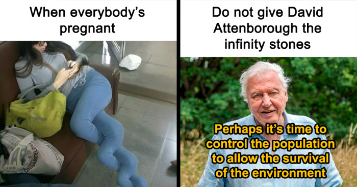 40 Hilarious Memes That Perfectly Sum Up What Being Childfree Is Like