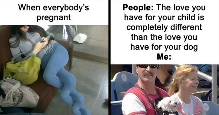 40 Hilarious Memes That Perfectly Sum Up What Being Childfree Is Like