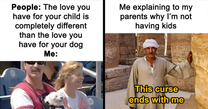40 Hilarious Memes That Perfectly Sum Up What Being Childfree Is Like