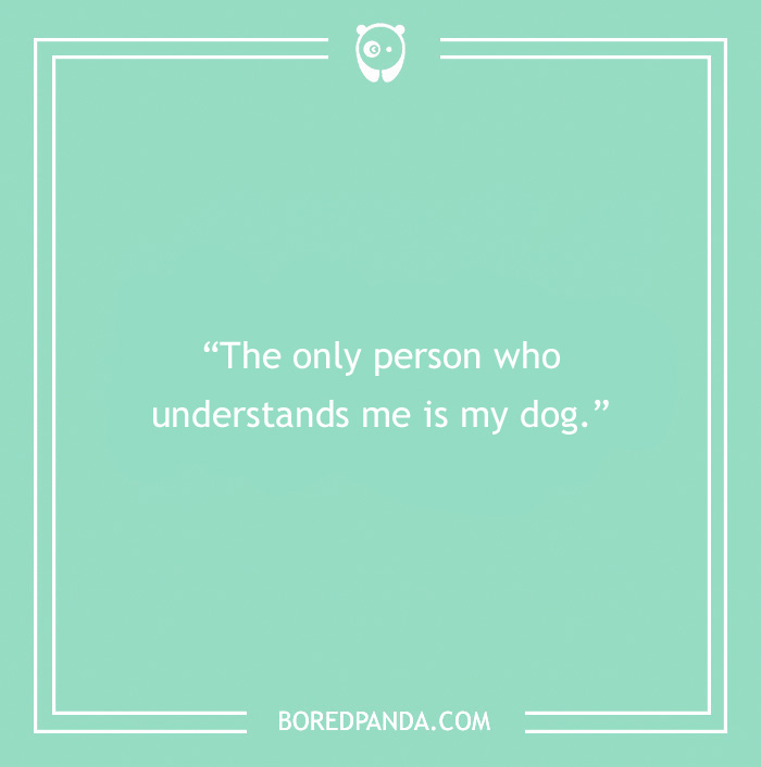 95 Funny Dog Quotes That Prove Dogs Are Pure Pawsomeness Bored Panda 95 Funny Dog Quotes That Prove Dogs Are Pure Pawsomeness Bored Panda