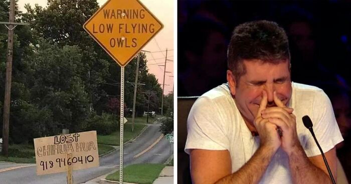 50 Ingenious Signs That May Leave Your Sides Hurting From Laughter (New ...