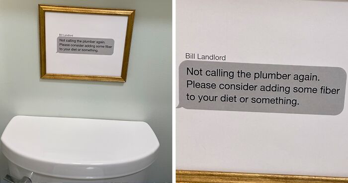 50 Ingenious Signs That May Leave Your Sides Hurting From Laughter (New ...
