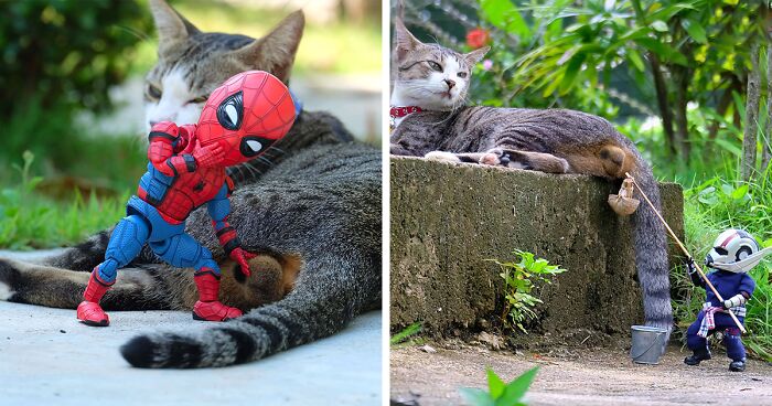 The Adventures Of Baby Spidey And His Cute Animal Pals: 30 New Photos ...