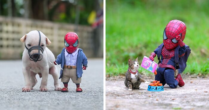 The Adventures Of Baby Spidey And His Cute Animal Pals: 30 New Photos ...