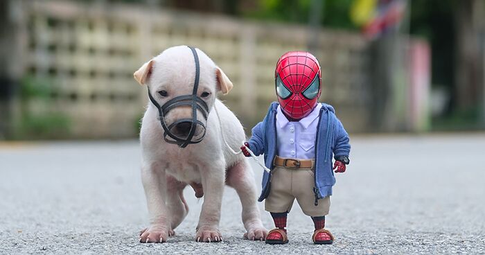 The Adventures Of Baby Spidey And His Cute Animal Pals: 30 New Photos ...