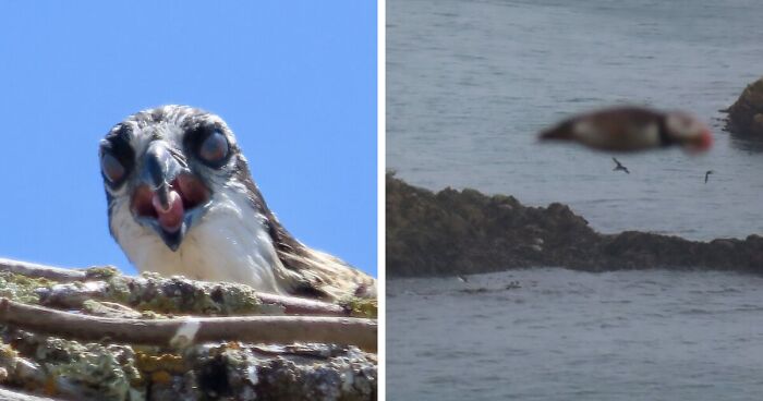 This Facebook Group Is Dedicated To Hilariously Bad Attempts At ...