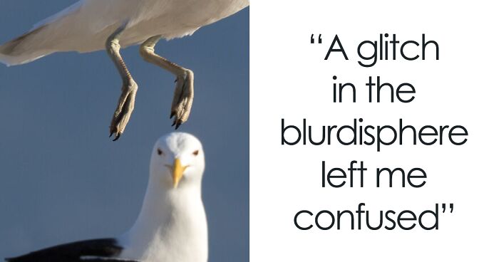 This Facebook Group Is Dedicated To Hilariously Bad Attempts At ...