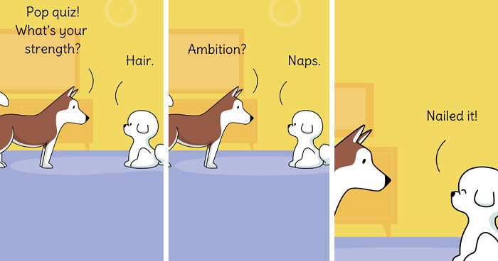 I Created 40 Humorous Comics Featuring A Dog Love Story | Bored Panda