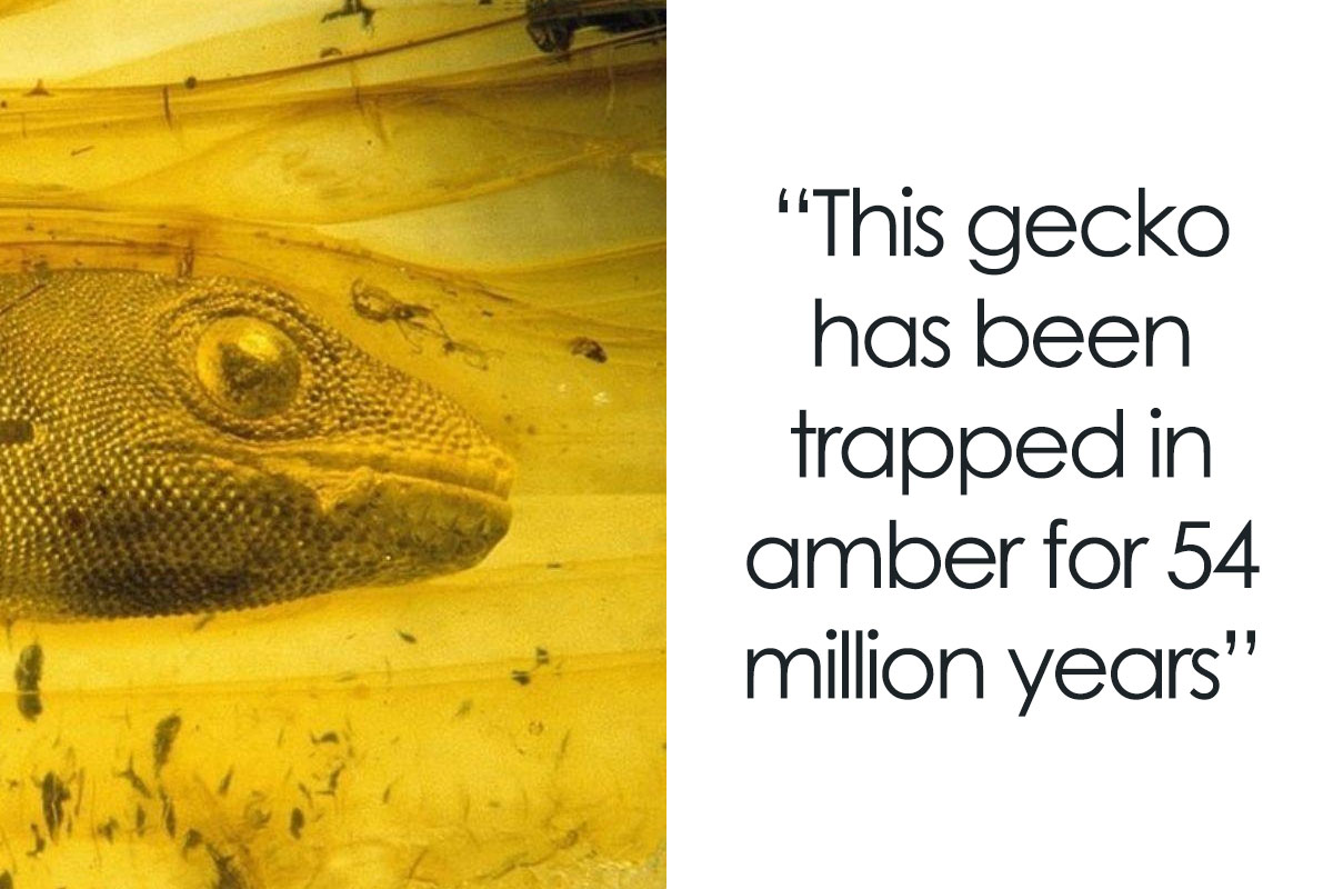 32 Mysterious And Bizarre Posts That Show Just How Weird Our World ...