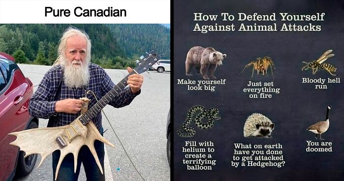 “Only In Canada”: 30 Memes And Posts That Perfectly Describe The ...