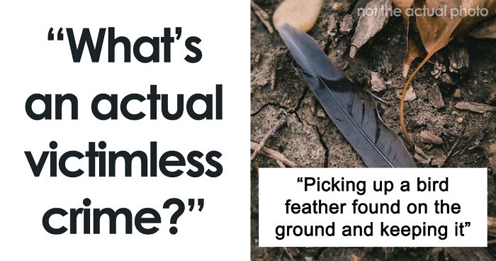 “Believe It Or Not, It’s A Crime”: 35 Examples Of Victimless Crimes ...