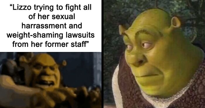 People Are Cracking Up At These 30 Spot-On Shrek Memes That Are Taking ...