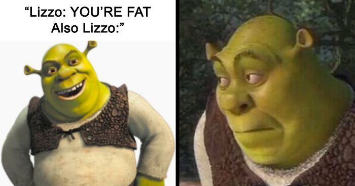 People Are Cracking Up At These 30 Spot-On Shrek Memes That Are Taking ...