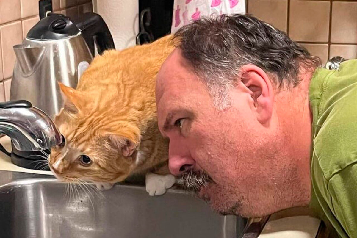 “Cats Who Share One Braincell”: 50 Cats That Don’t Seem Very Smart (New Pics) | Bored Panda