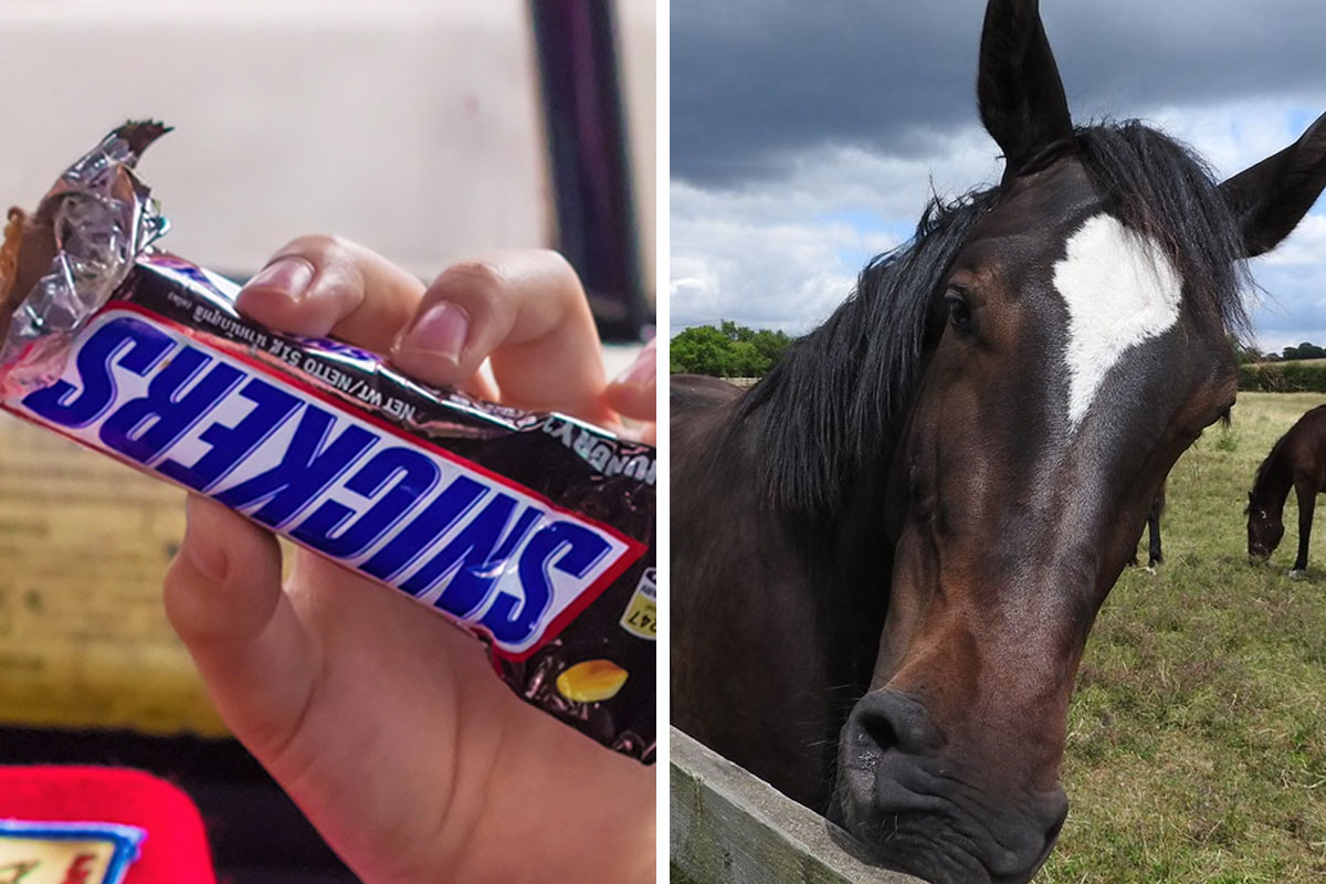 People Are Pleasantly Surprised After Learning The Story Behind Snickers’ Odd Name | Bored Panda