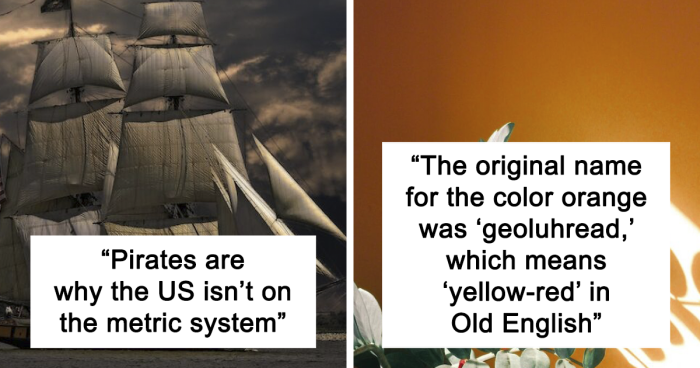 50 “Stupid Facts” That Sound Fake But Are Genuinely Real