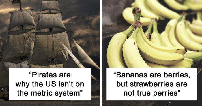 50 “Stupid Facts” That Sound Fake But Are Genuinely Real