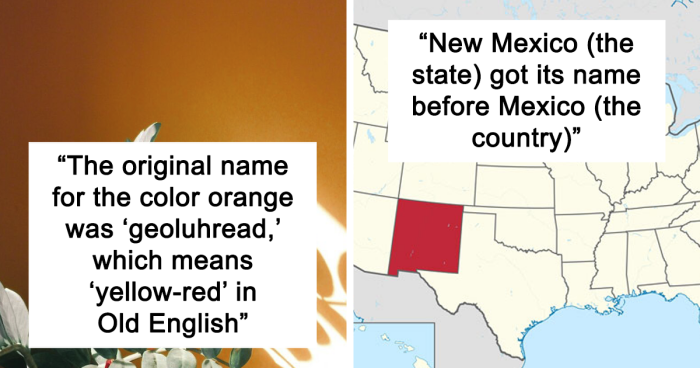 50 “Stupid Facts” That Sound Fake But Are Genuinely Real