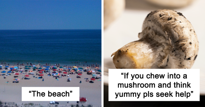 30 Controversial Things People Don’t Believe Others Actually Enjoy