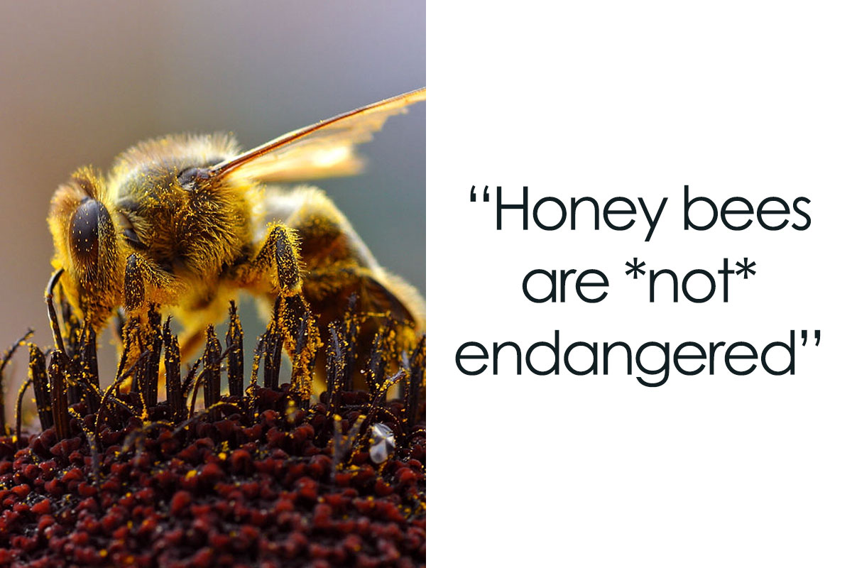 35 Fascinating Facts That People Only Learned Now And Just Had To Share ...