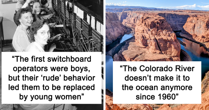 35 Fascinating Facts That People Only Learned Now And Just Had To Share ...