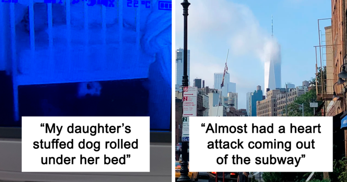 “Scared The Bejesus Out Of Me”: 50 Times People Almost Had A Heart ...