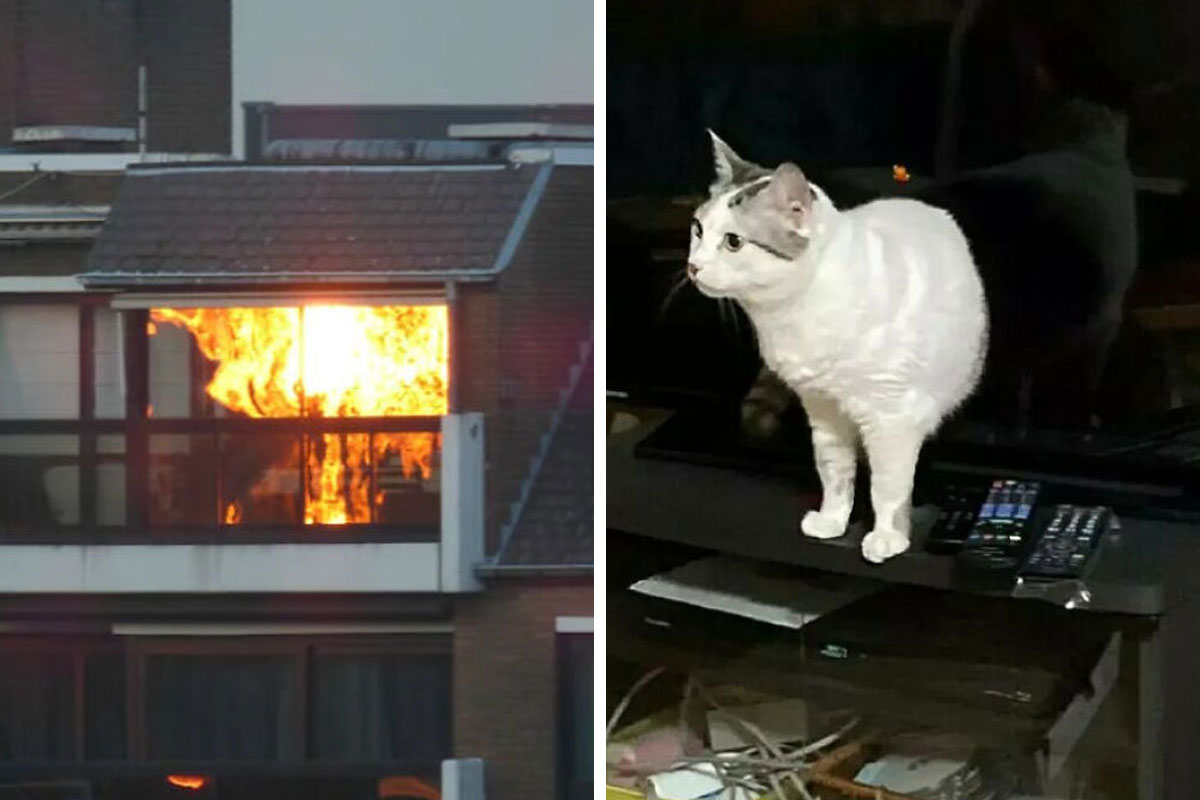 40 Seriously Confusing Pics That Need To Be Looked At Twice To ...