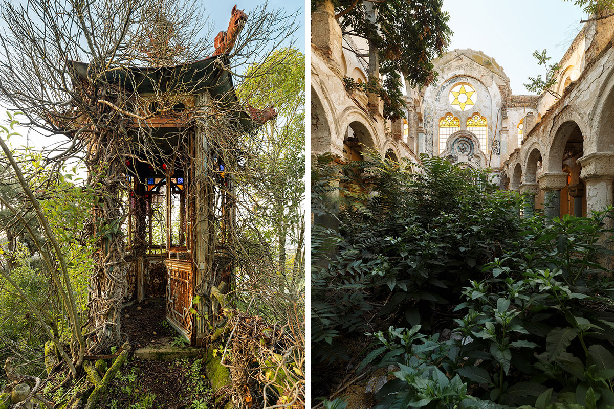 “When Nature Reclaims Its Rights”: My Exploration Through 19 Pics ...