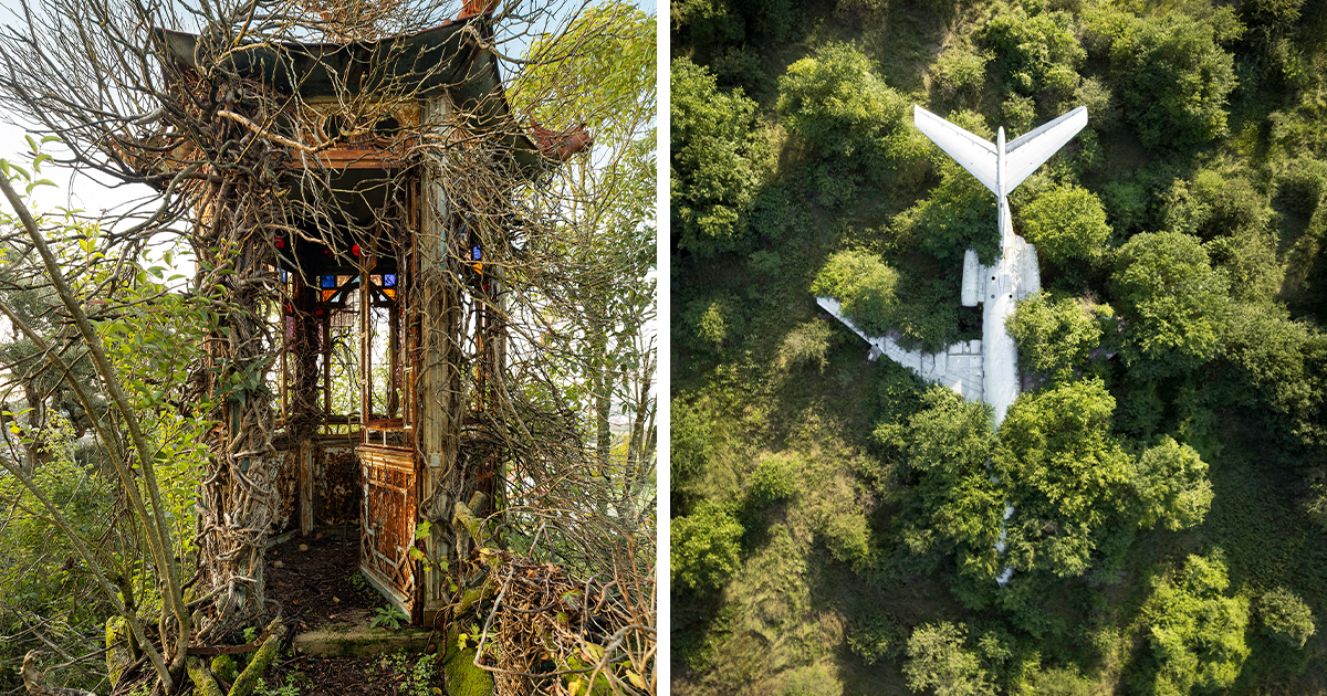 “When Nature Reclaims Its Rights”: My Exploration Through 19 Pics ...