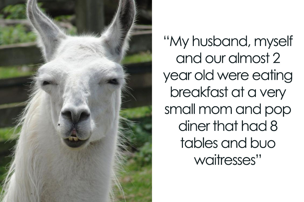 Woman Arrives At Diner, Says “I’ll Sit Here” Gesturing To Table ...