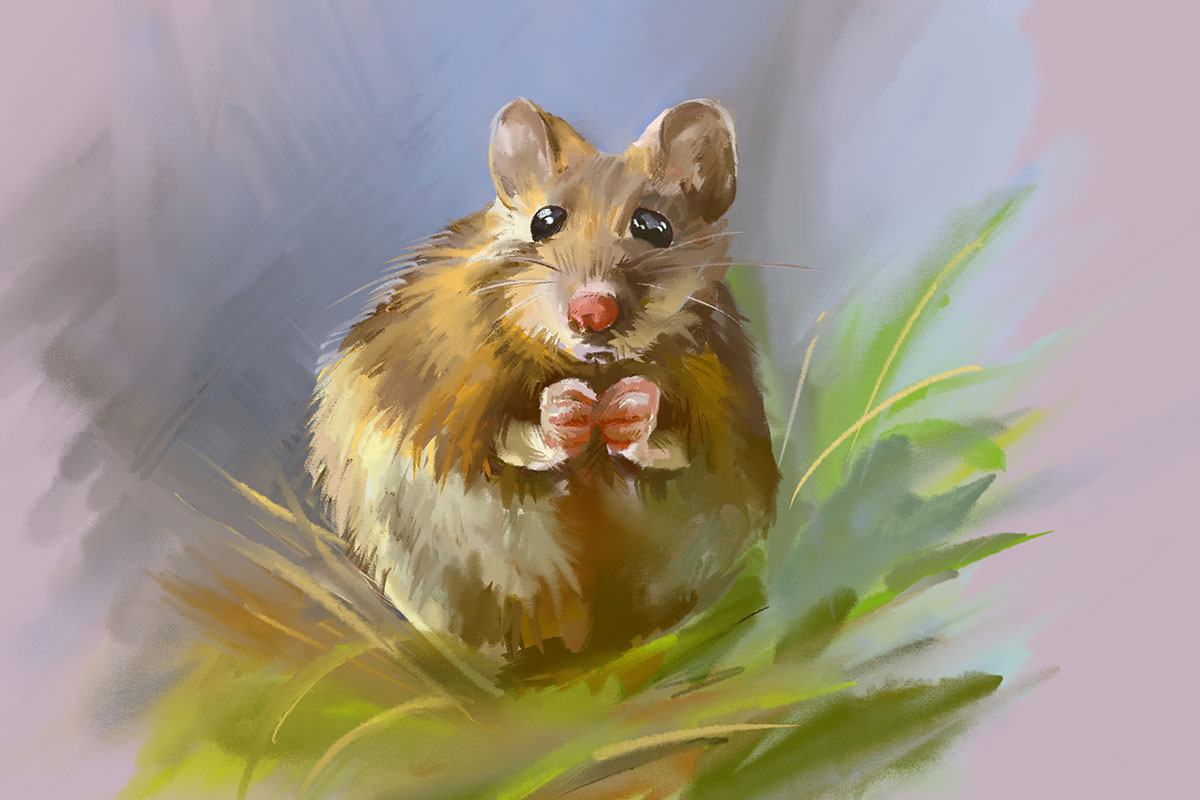 I Illustrated Animals In Their Natural Surroundings (19 Pics) | Bored Panda