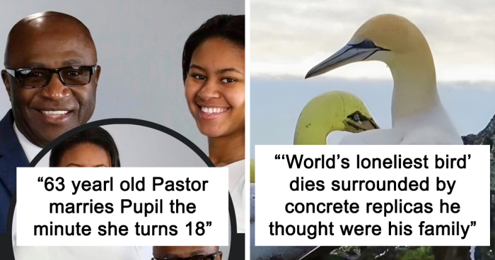 ‘Awful Everything’ Shames The World’s Worst People, And Here’s 50 Of ...