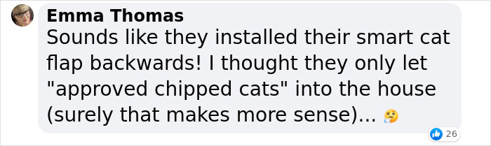 Cat Breaks Into Neighbor’s New Home, They Are Furious And Ask For ...