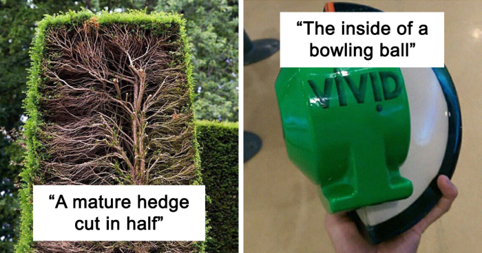 51 Pics That Reveal The Rarely Seen Side Of Common Things | Bored Panda