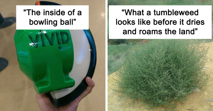 51 Pics That Reveal The Rarely Seen Side Of Common Things | Bored Panda