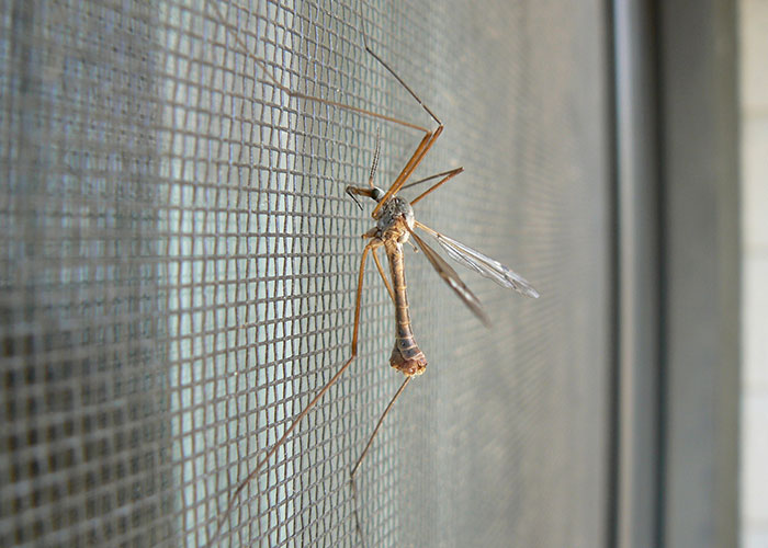 30 Biggest Cultural Shocks From Around The World Visitors Just Can’t ...