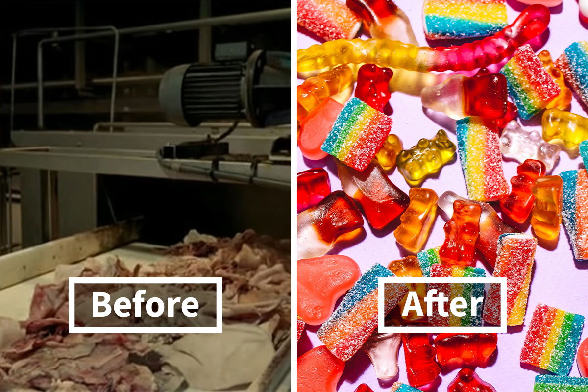 Disturbing Behind-The-Scenes Secrets About 9 Of The Most Popular Meals ...