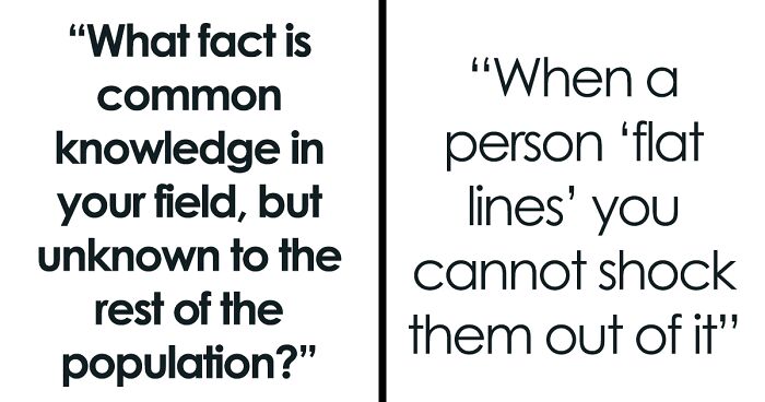 35 Facts That Are Common Knowledge In These People’s Fields But Are Not ...