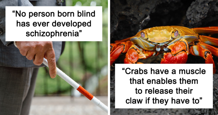 “What Is A Weird Fact You Know For Some Reason?” (40 Answers) | Bored Panda