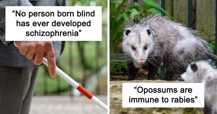 “What Is A Weird Fact You Know For Some Reason?” (40 Answers) | Bored Panda