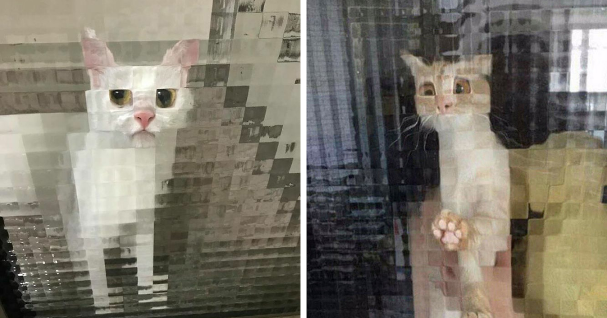 21 Funny Photos Of “Low-Resolution” Cats Behind Pixelated Glass Doors ...