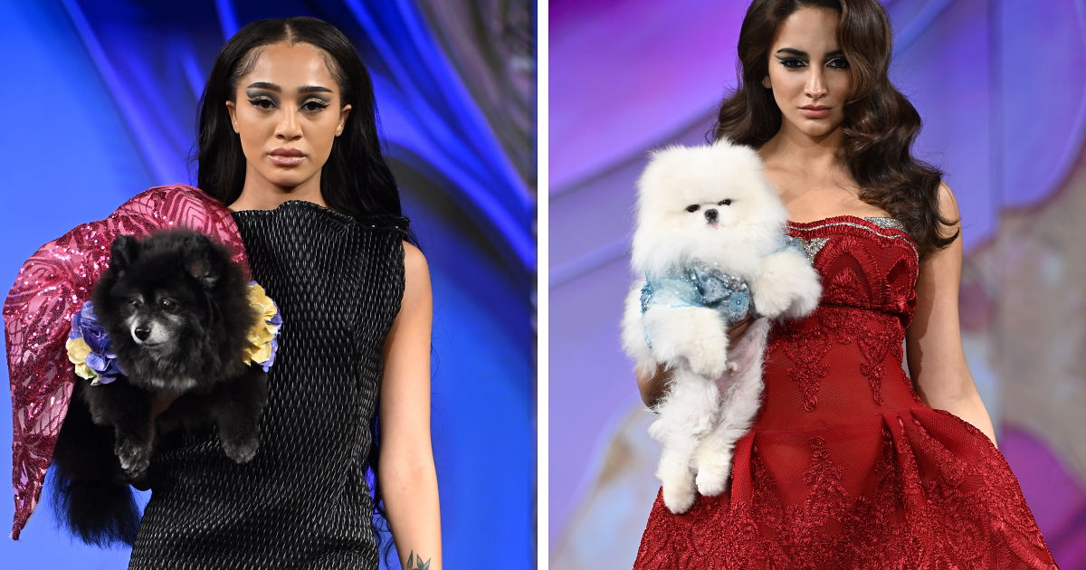 Pets Rule The Catwalk At New York Fashion Week (23 Pics) | Bored Panda