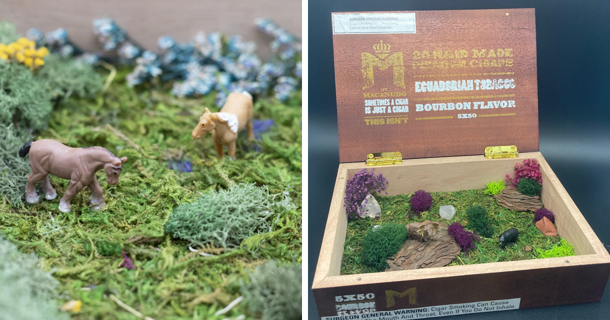 I Make Mini Worlds Out Of Real Flowers And Mosses (22 Pics) | Bored Panda